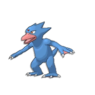 Golduck | Pokémon Wiki | FANDOM powered by Wikia