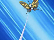 May's Beautifly | Pokémon Wiki | FANDOM powered by Wikia