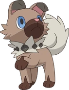 Rockruff | Pokémon Wiki | Fandom
