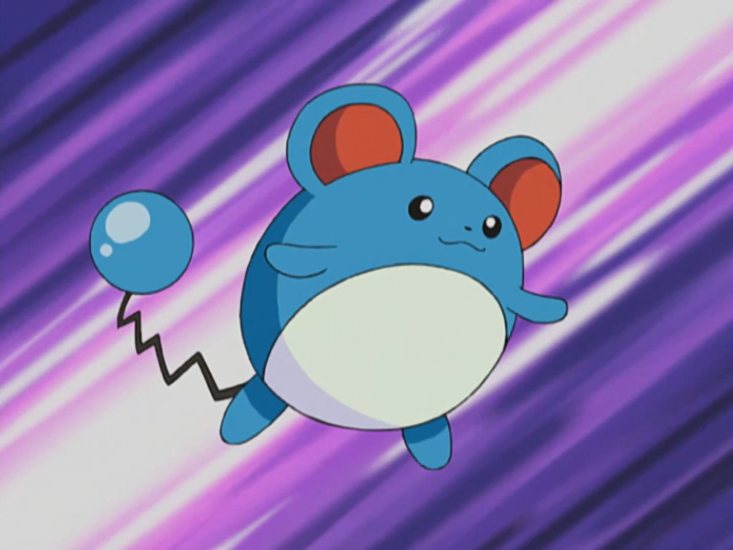Vivis Marill Pokémon Wiki Fandom Powered By Wikia