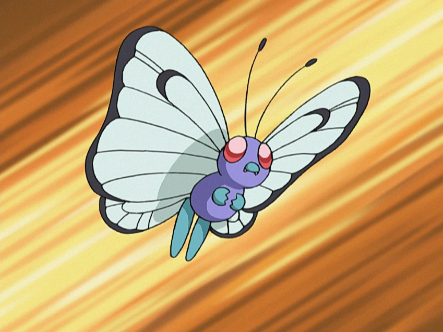 Jeremy's Butterfree | Pokémon Wiki | Fandom
