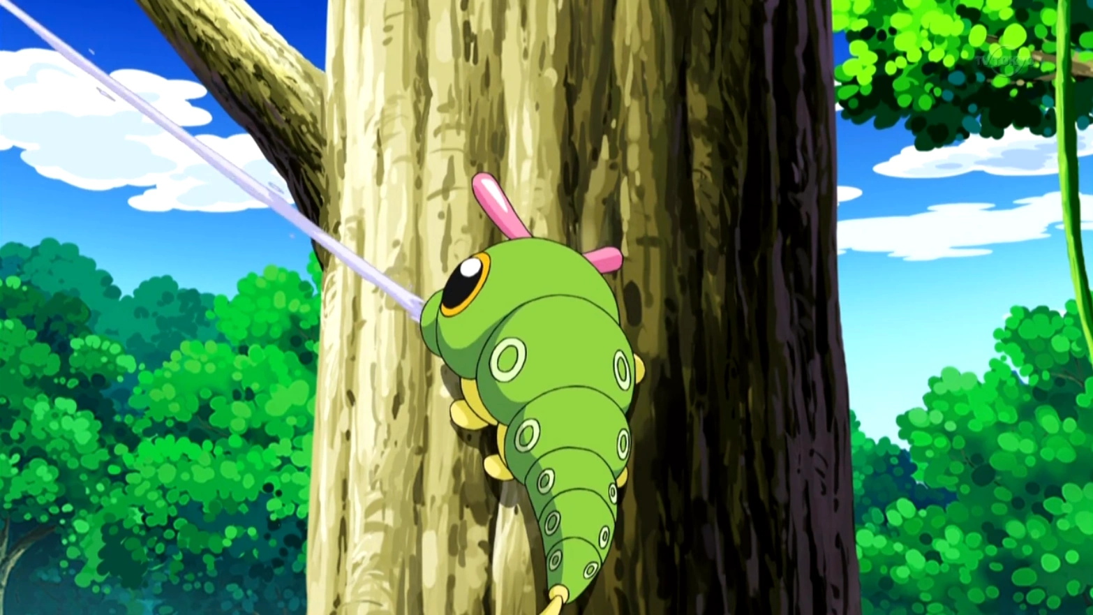 Image - Caterpie BW132 String Shot.png | Pokémon Wiki | FANDOM powered ...