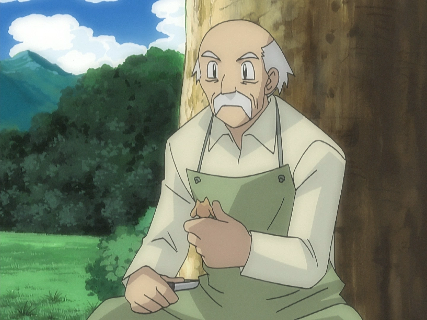 Pokémon Ranger And The Kidnapped Riolu Part One - fasrdownload