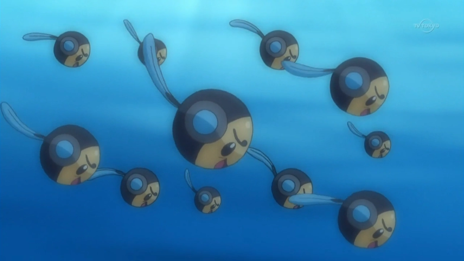 Tympole (BW034) | Pokémon Wiki | Fandom