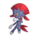 Weavile | Pokémon Wiki | FANDOM powered by Wikia