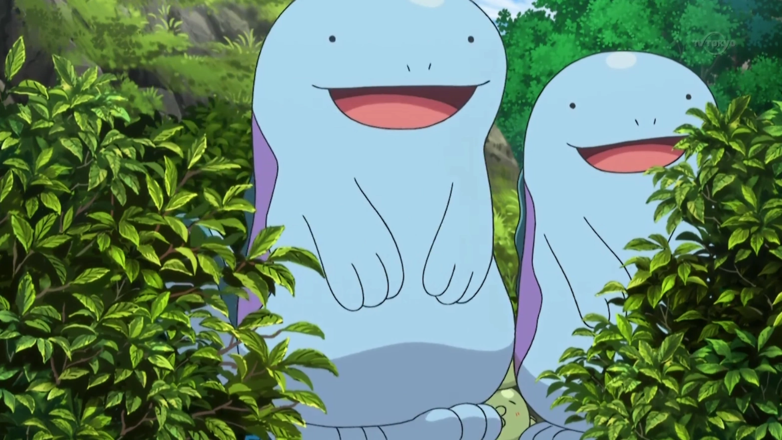 Quagsire (anime) | Pokémon Wiki | FANDOM powered by Wikia