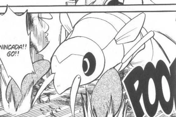 Shelly (Adventures) | Pokémon Wiki | Fandom