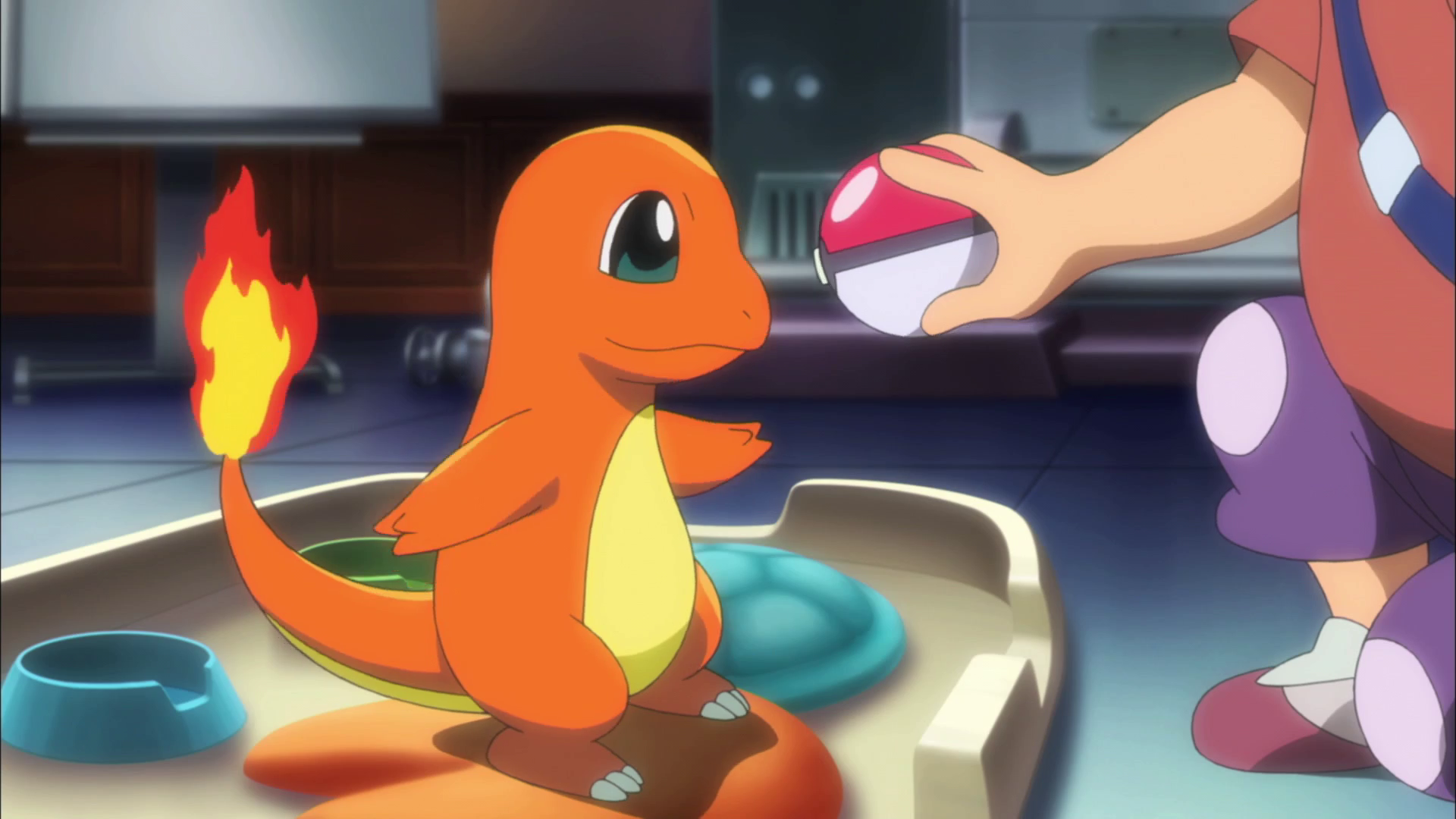 Tierno's Charmander | Pokémon Wiki | FANDOM powered by Wikia
