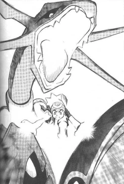 Pokémon Adventures: Volume 22 | Pokémon Wiki | Fandom