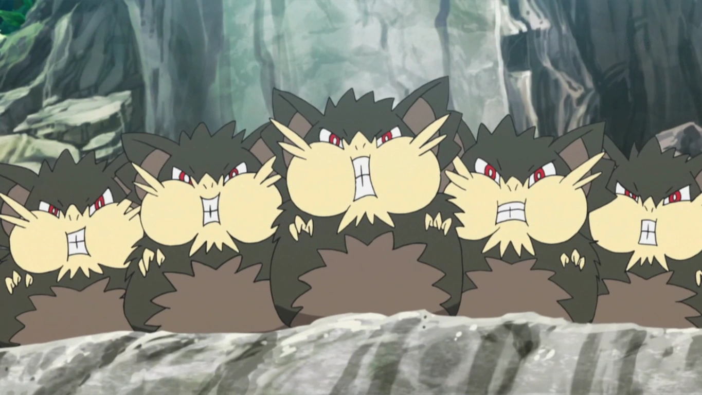 Raticate (SM025) | Pokémon Wiki | Fandom