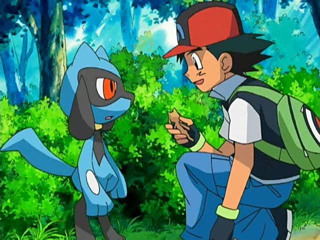 Riolu | Pokémon Wiki | FANDOM powered by Wikia Riolu | Pokémon Wiki | FANDOM powered by Wikia