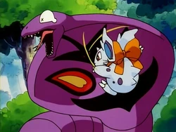 Maria (Pokémon) | Pokémon Wiki | FANDOM powered by Wikia