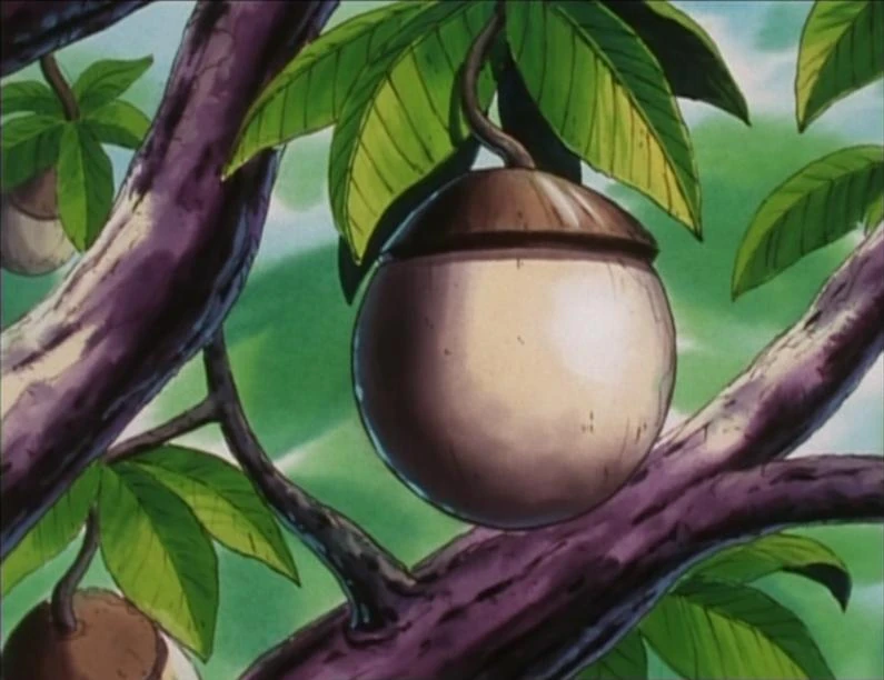 Apricorn | Pokémon Wiki | FANDOM powered by Wikia