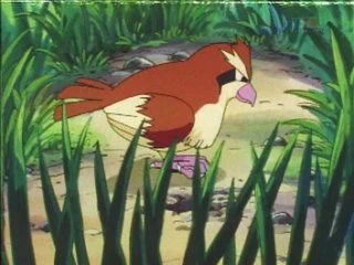 Shine's Taubsi | Pokemon-Erfindung Wiki | Fandom