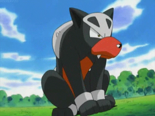 Image - Houndoom and Umbreon.gif | PokéFanon | FANDOM powered by Wikia