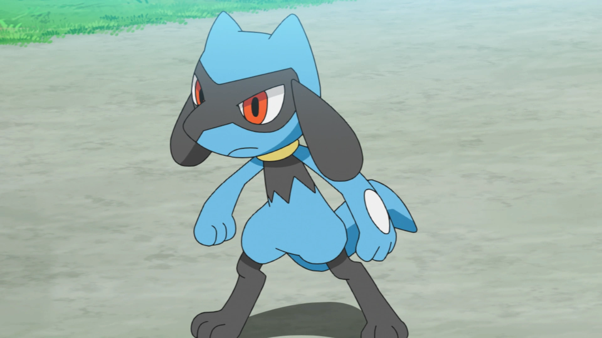 Riolu (Forever) | PokéFanon | Fandom