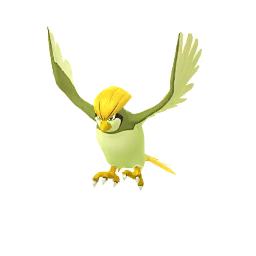 Pidgeotto | Pokémon GO Wiki | FANDOM powered by Wikia