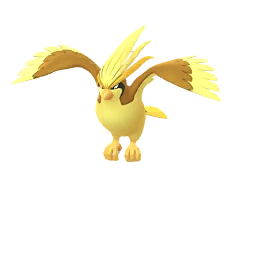 Pidgeot | Pokémon GO Wiki | Fandom