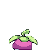 Bounsweet | Pokemon Wack Wiki | Fandom