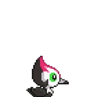 Pikipek | Pokemon Wack Wiki | Fandom