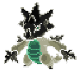 Fracture | Pokemon Wack Wiki | Fandom