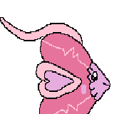 Mega Luvdisc Y | Pokemon Wack Wiki | Fandom