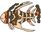 Mega Lumineon | Pokemon Wack Wiki | Fandom