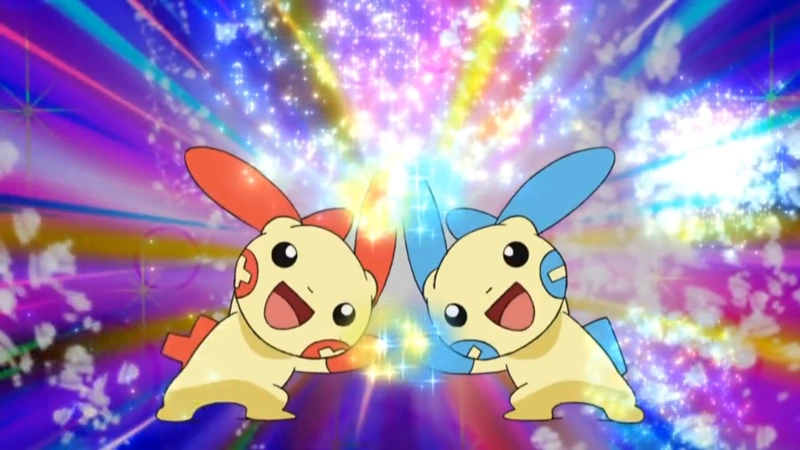 Obraz - Ursula Plusle Minun Helping Hand.png | Pokémon Wiki | FANDOM ...
