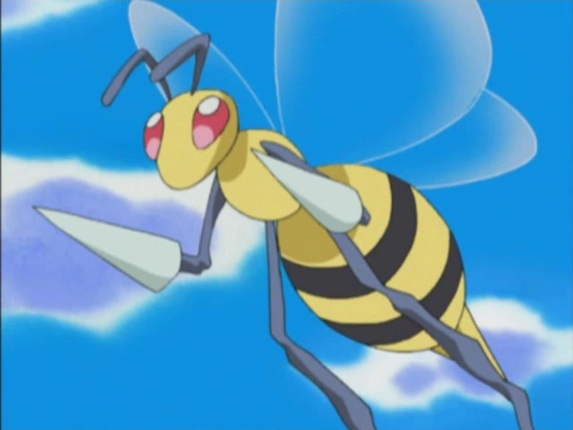 Beedrill Casey | Pokémon Wiki | Fandom
