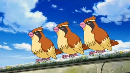 Pidgey | Pokémon Wiki | FANDOM powered by Wikia