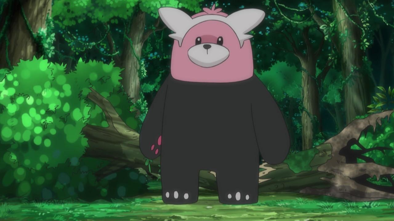 Bewear Anime Pokémon Wiki Fandom