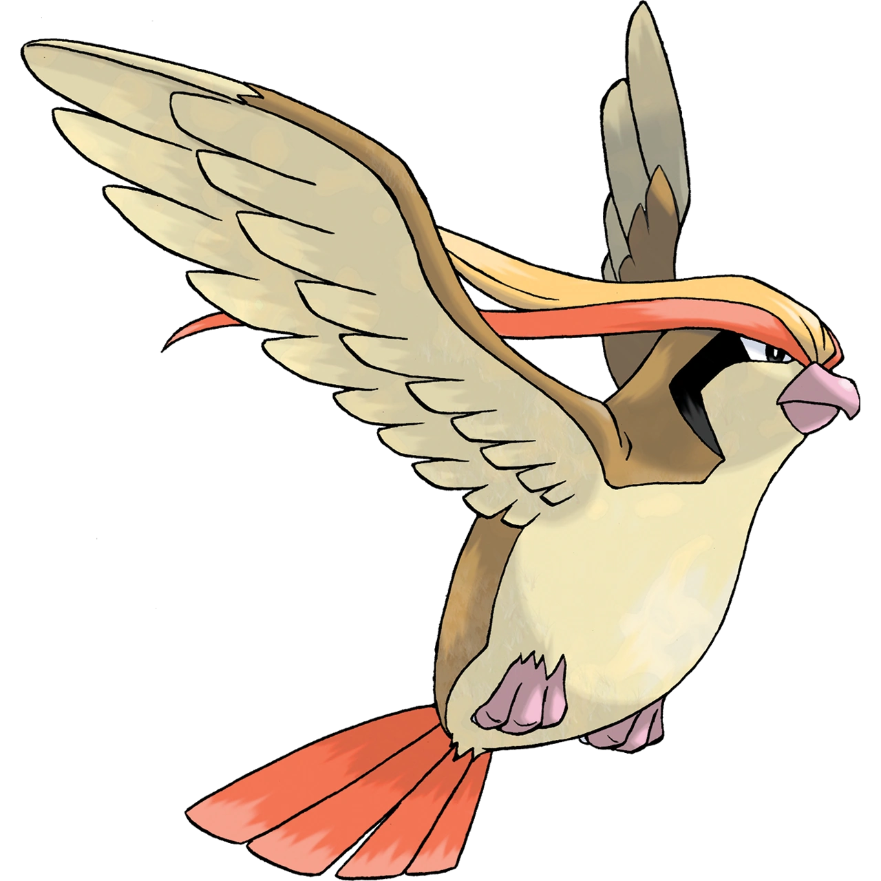 Pidgeot | Pokémon Wiki | FANDOM powered by Wikia
