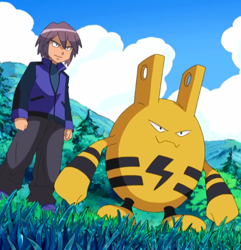 Electivire Paula Pokémon Wiki Fandom Powered By Wikia