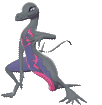 Salazzle | PokéPédia | Fandom