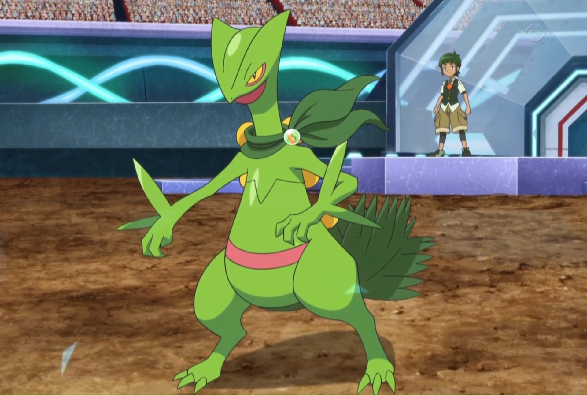 Sceptile de Sawyer | PokéPédia | Fandom