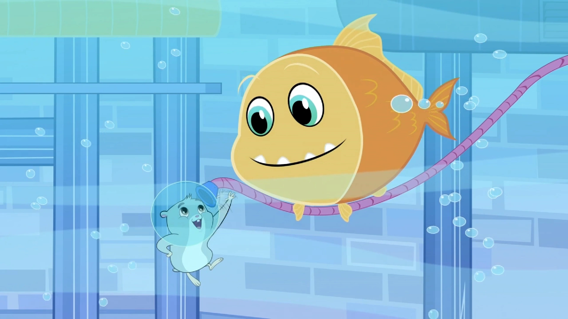 Goldfish/Gallery | The ZhuZhus Wiki | Fandom