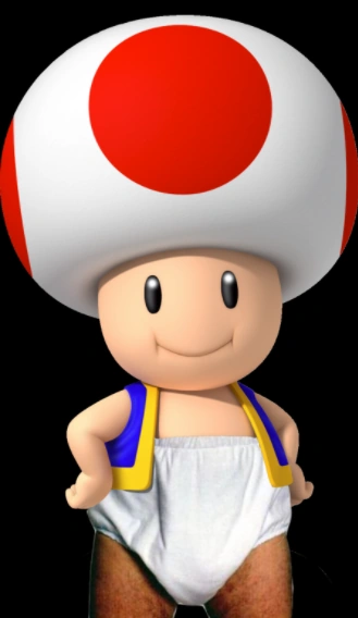 The Toad | Polygon Wiki | Fandom