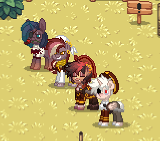 The Red Raiders | PonyTown Wiki | Fandom