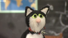 Postman Pat and the Talking Cat | Postman Pat Wiki | Fandom