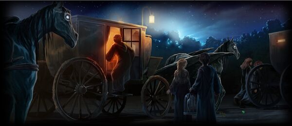 The Carriages | Pottermore Wiki | FANDOM powered by Wikia The Carriages | Pottermore Wiki | FANDOM powered by Wikia