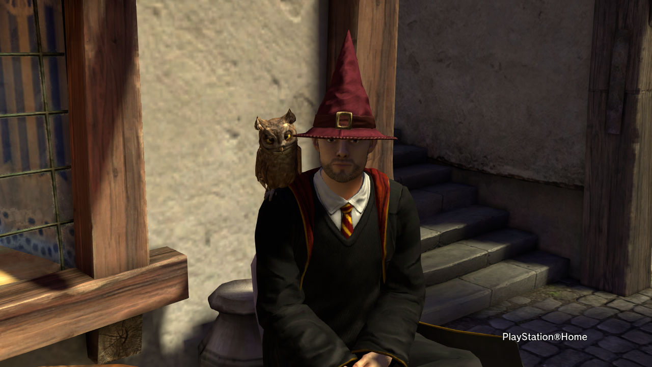 Screech Owl Pottermore Wiki Fandom Powered By Wikia