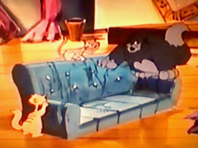 Other Cats Pound Puppies 1986 Wiki Fandom Powered By Wikia