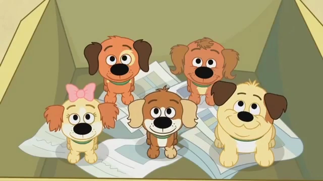 Quintuplets | Pound Puppies 2010 Wiki | FANDOM powered by Wikia