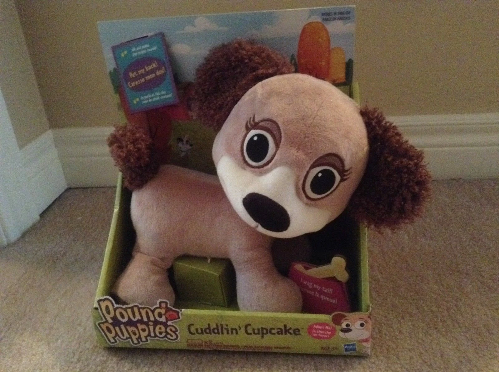 Miscellaneous merchandise | Pound Puppies 2010 Wiki | FANDOM powered by ...