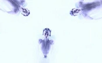 Image - Precogs-minority-report.jpg | Superpower Wiki | FANDOM powered ...