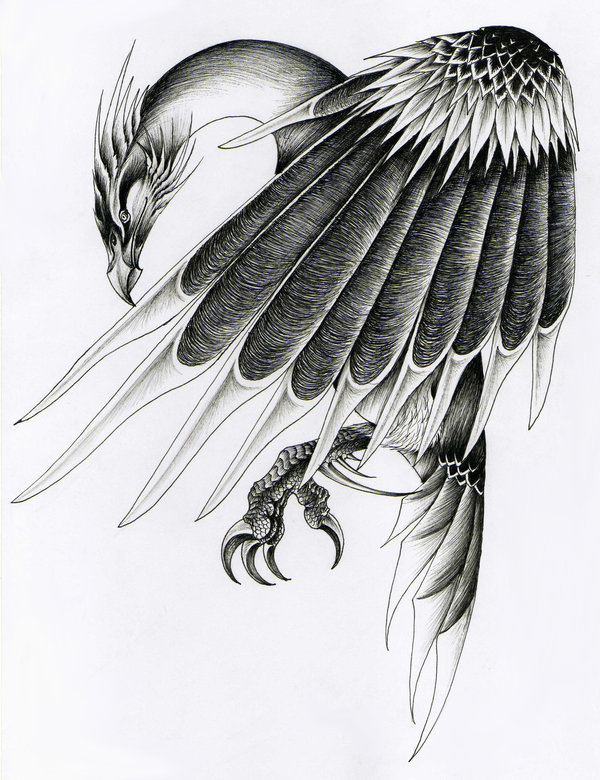 Stymphalian Bird Physiology Superpower Wiki Fandom Powered By Wikia