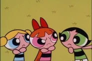 Buttercrush/Gallery | Powerpuff Girls Wiki | Fandom