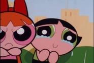 Buttercrush/Gallery | Powerpuff Girls Wiki | Fandom