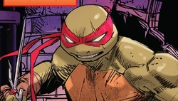 Raphael/IDW | RangerWiki | Fandom