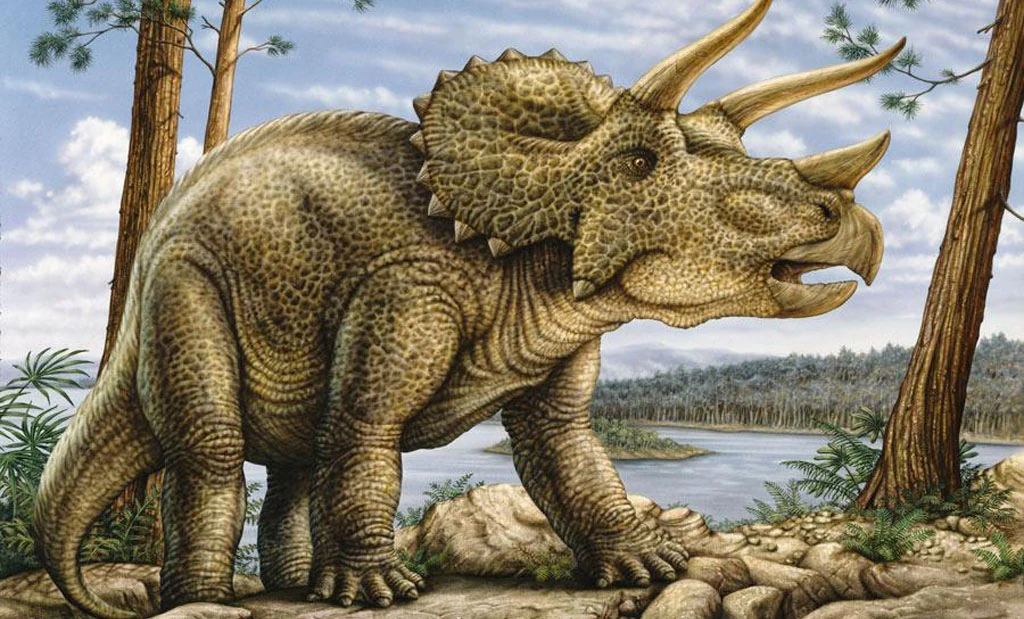 Triceratops | Prähistorische Lebewesen und Erdzeitalter Wiki | FANDOM ...